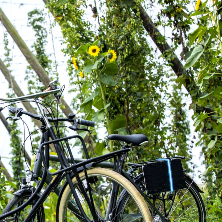 Hopspot.be - een plek waar goed leven goed genieten is.